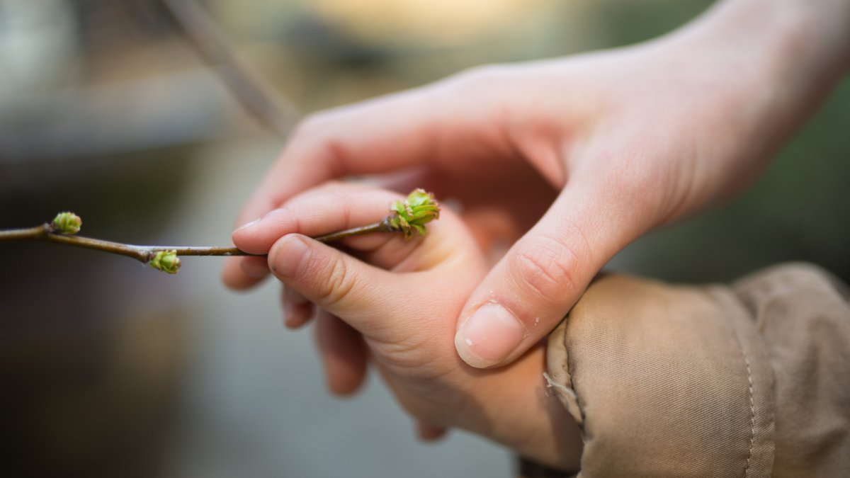 La filiation - Diocèse de Paris