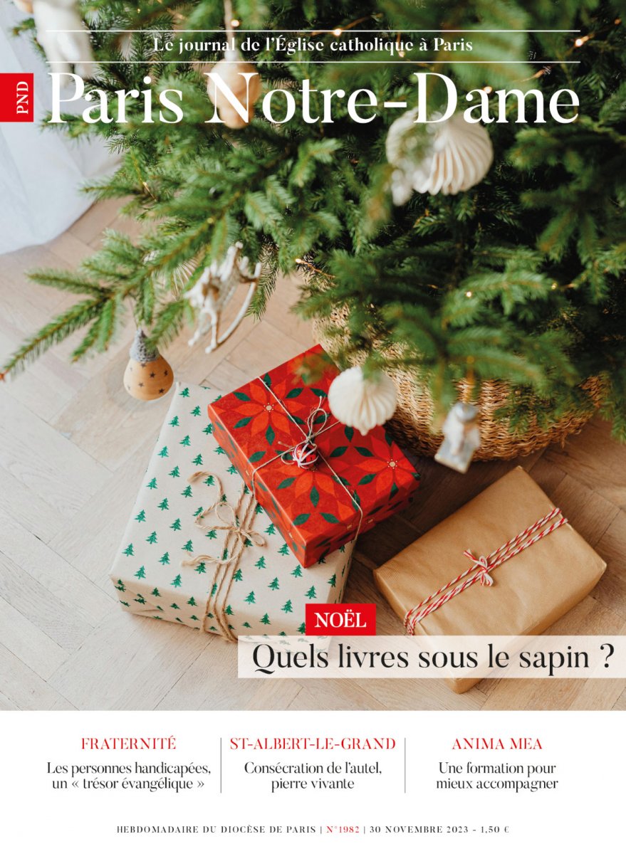 Noël : Quels livres sous le sapin ? - Paris Notre-Dame - Diocèse de Paris